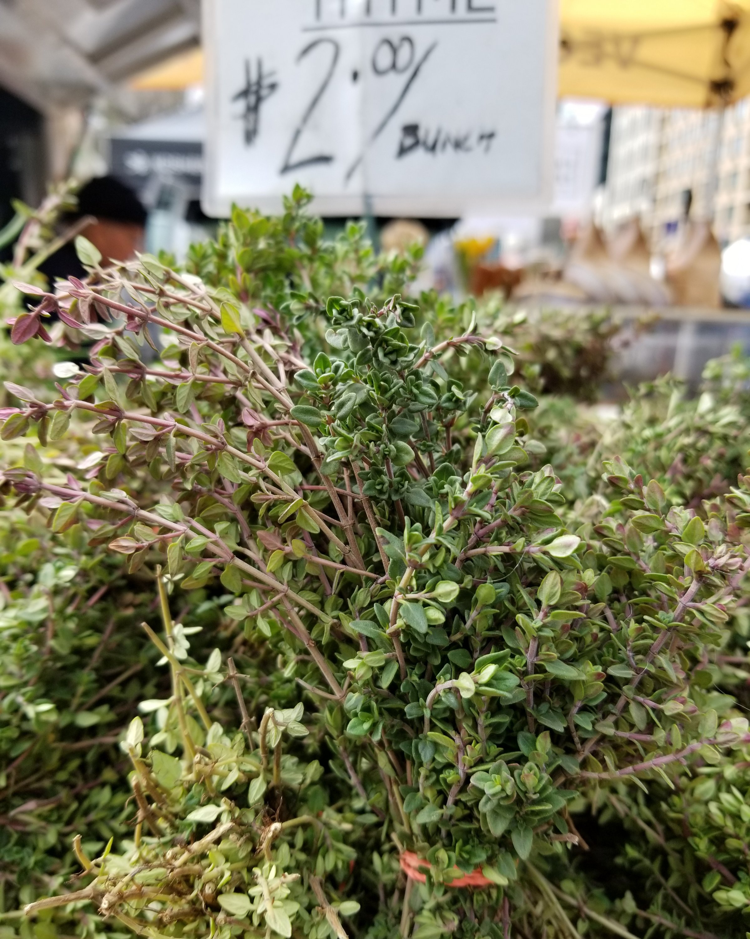 20190409_1634475913852245647698982.jpg – Crystal Rivera